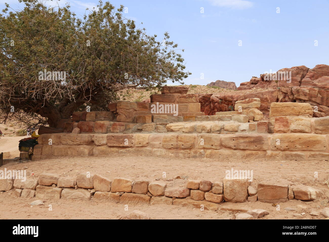Wild pistachio tree at Nymphaeum, Petra, Wadi Musa, Ma'an Governorate ...