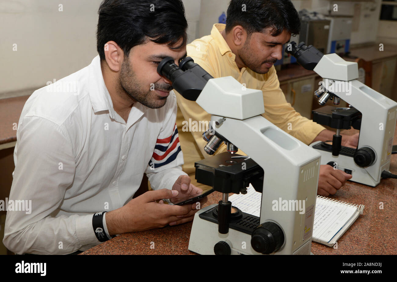 Student working with Microscope Stock Photo - Alamy