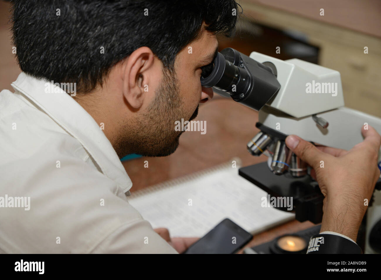 Student working with Microscope Stock Photo - Alamy