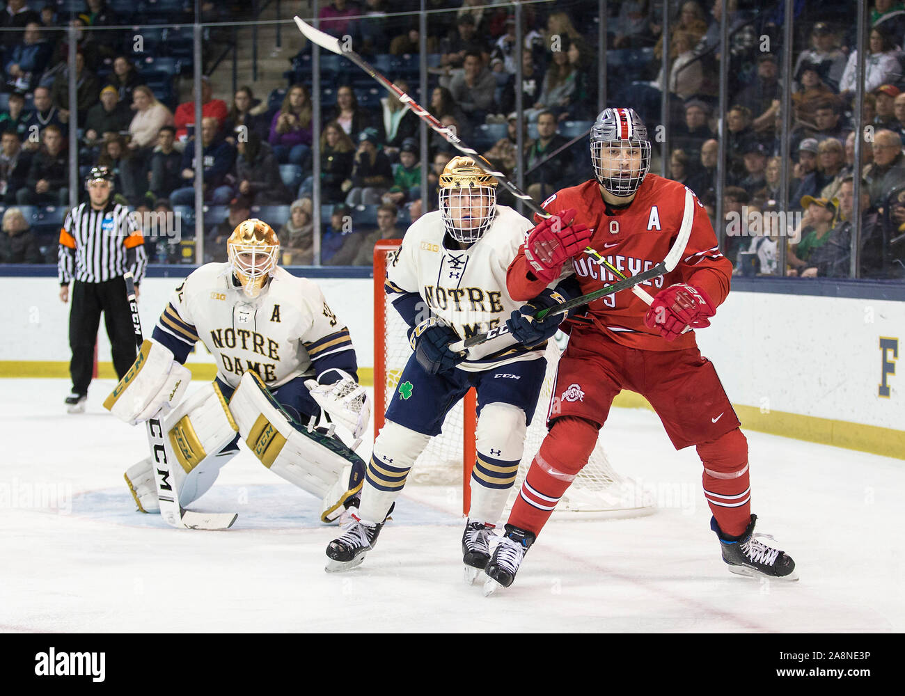 2019 762 jpg hi-res stock photography and images - Alamy