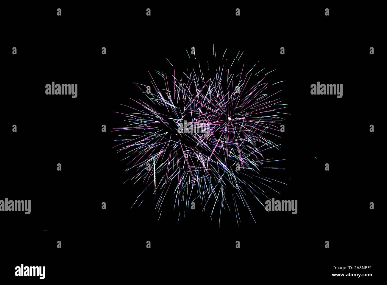 Bright Purple Firework Stock Photo - Alamy