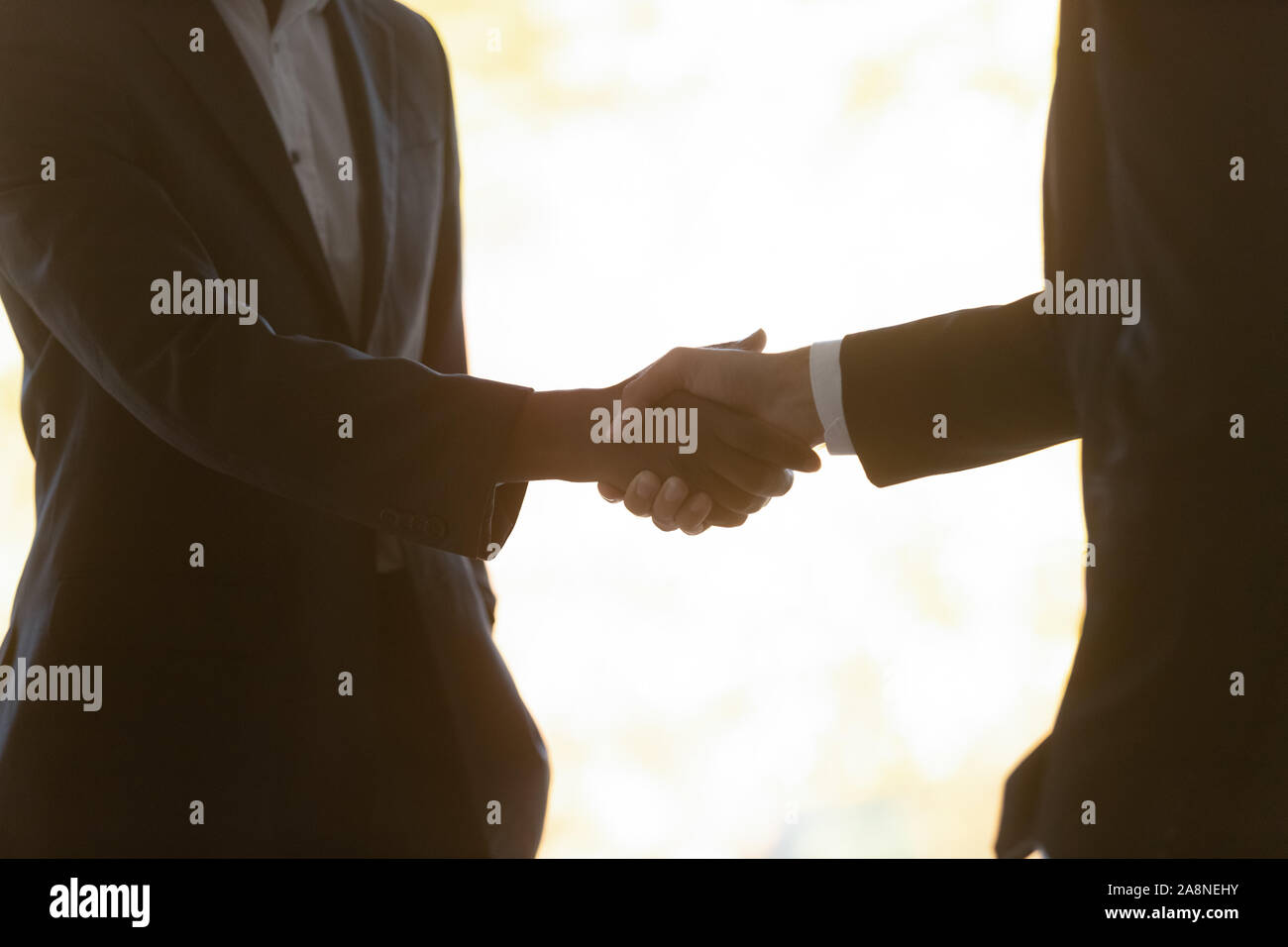 Male business partners handshake closing successful deal Stock Photo ...