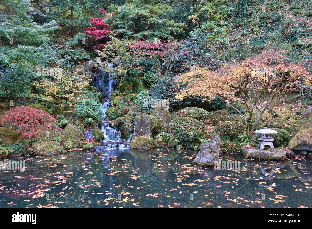 Autumn view of the landmark Portland Japanese Garden in Portland, Oregon Stock Photo - Alamy