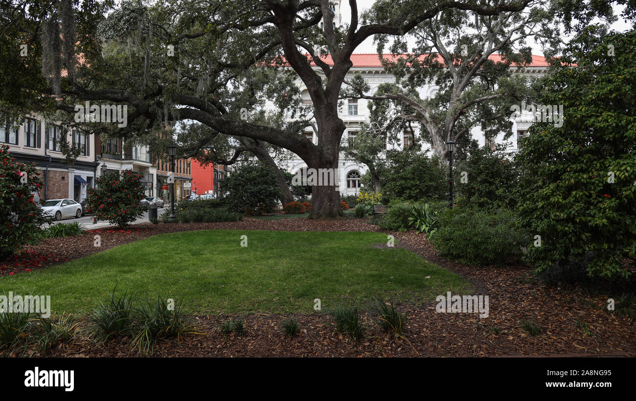Wright Square in Savannah Stock Photo - Alamy