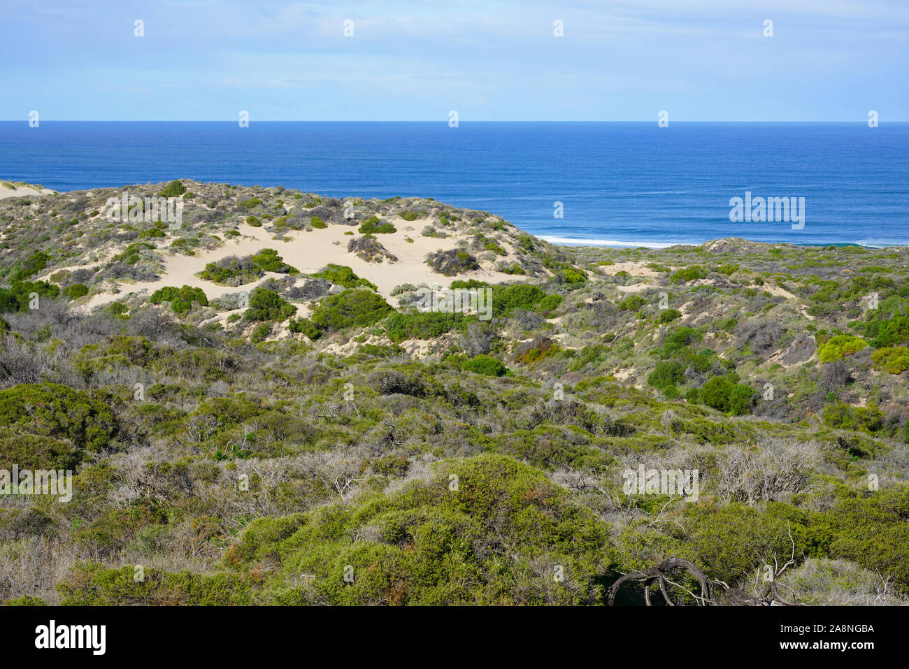 View of Horrocks Beach in the Mid West region of Western Australia ...