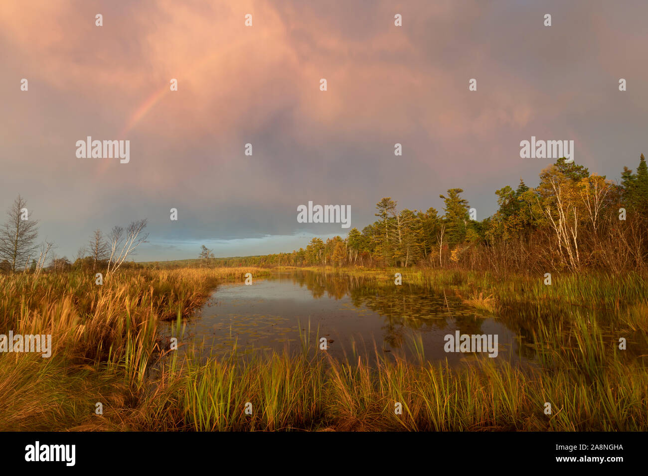 Rainbow over wetland, Autumn, Wisconsin, USA, by Dominique Braud ...