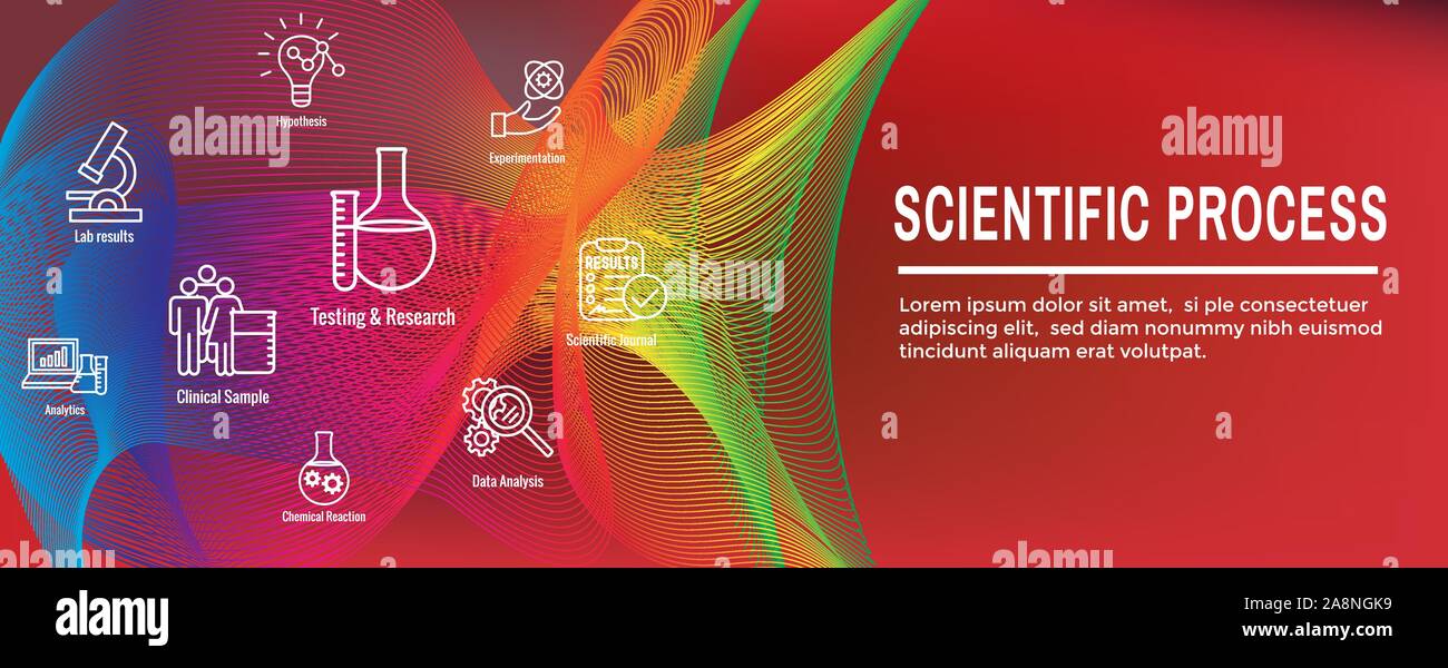 Reviewed vector vectors hi-res stock photography and images - Alamy