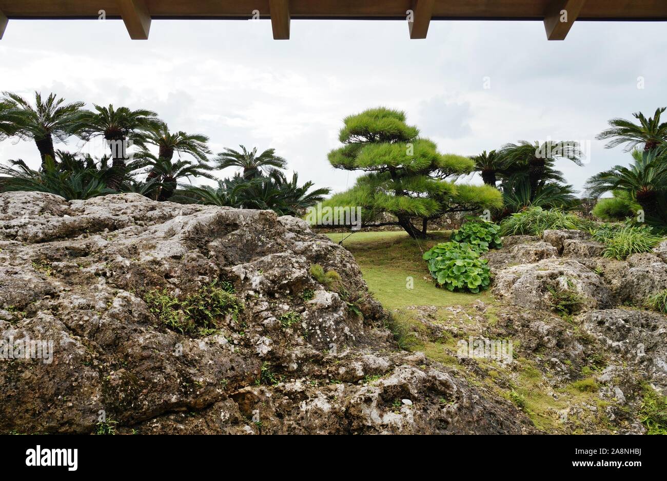 Shuri castle fire hi-res stock photography and images - Alamy