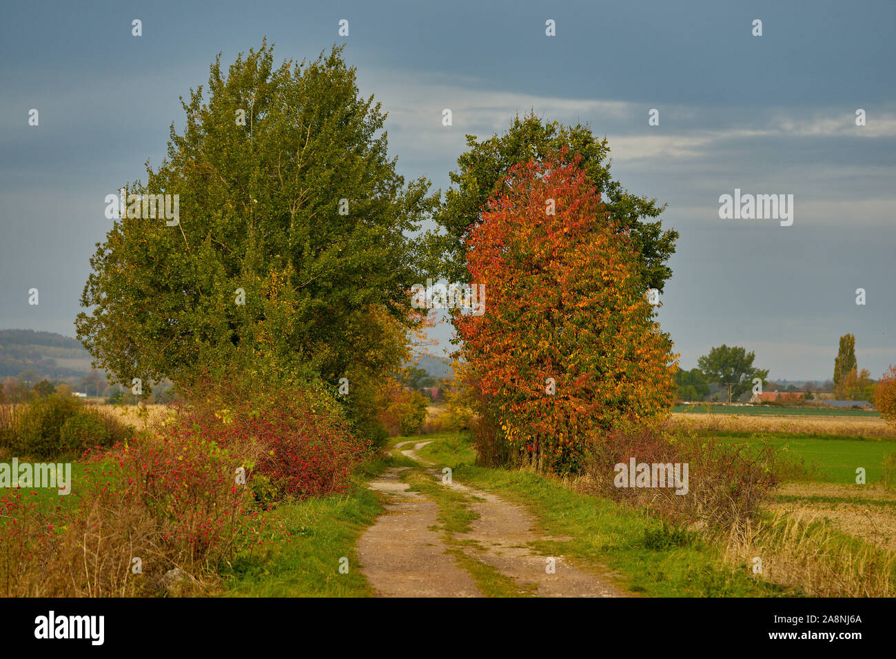 Peaceful tranquil quiet landscape hi-res stock photography and images ...