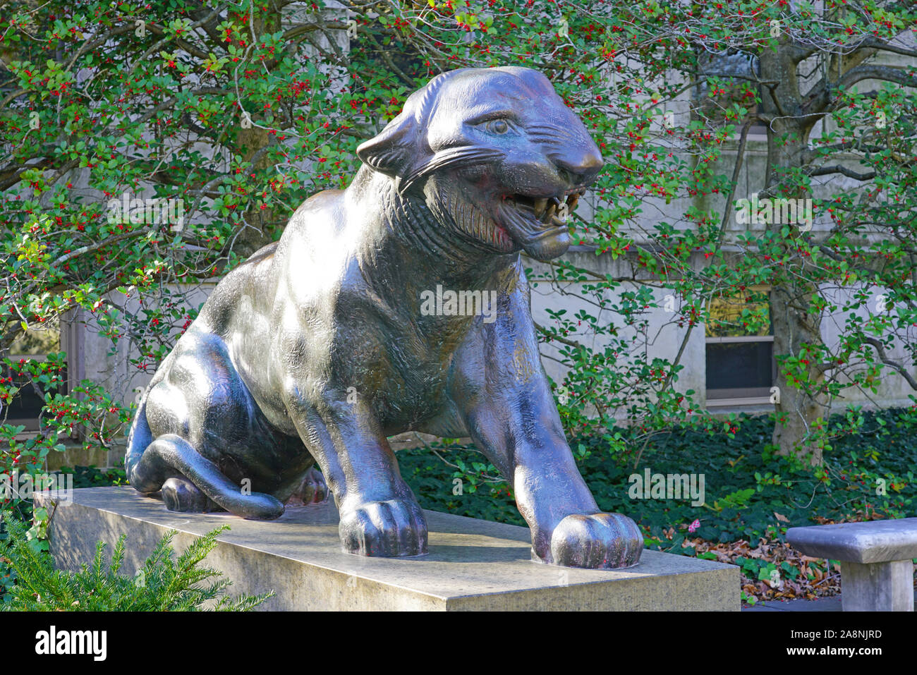 Princeton Tiger Statue