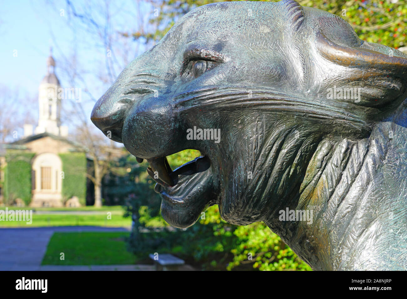 PRINCETON, NJ -9 NOV 2019- View of a tiger sculpture across from Nassau ...