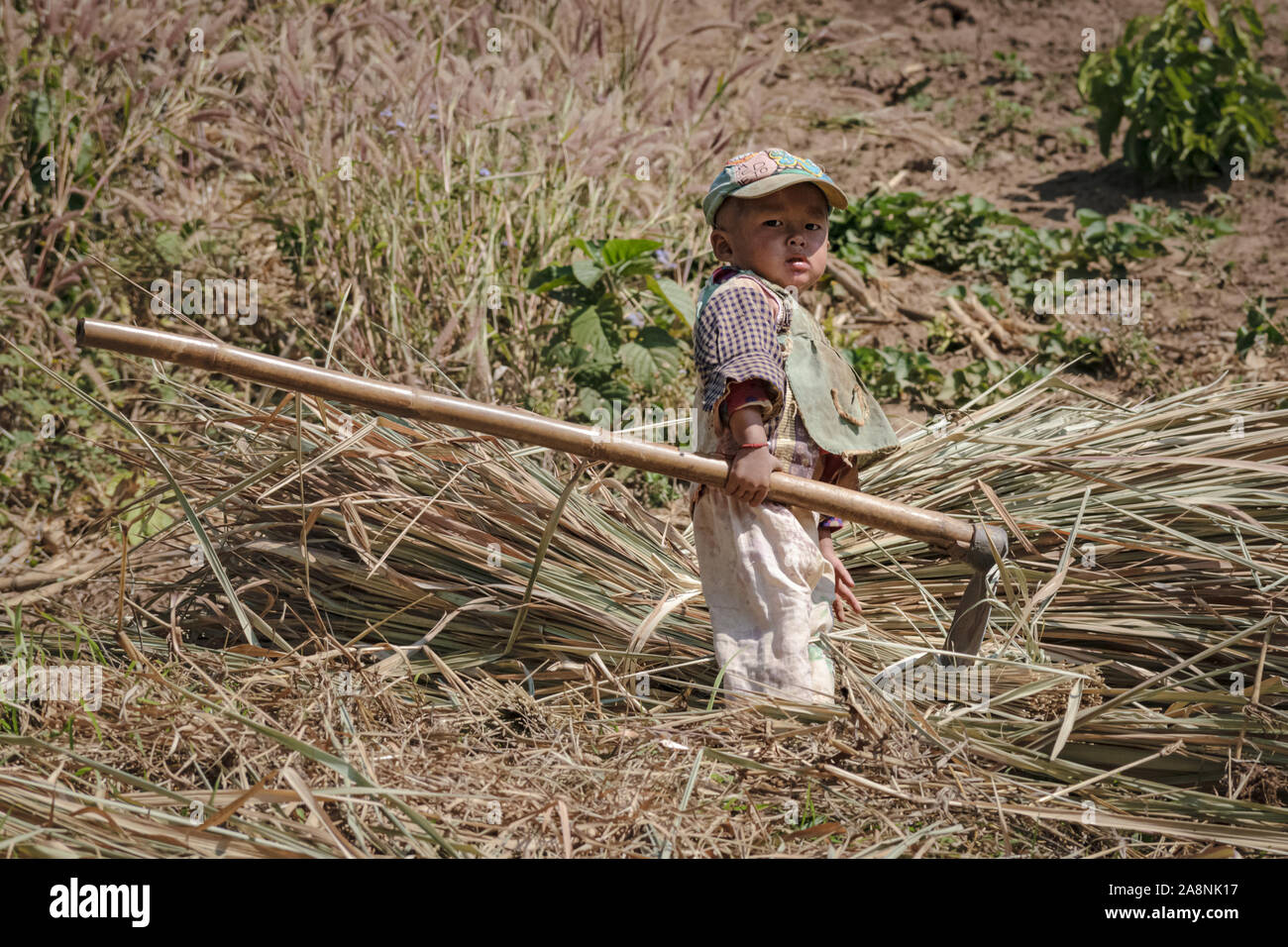 Small Burmese child helping in the garden Stock Photo - Alamy