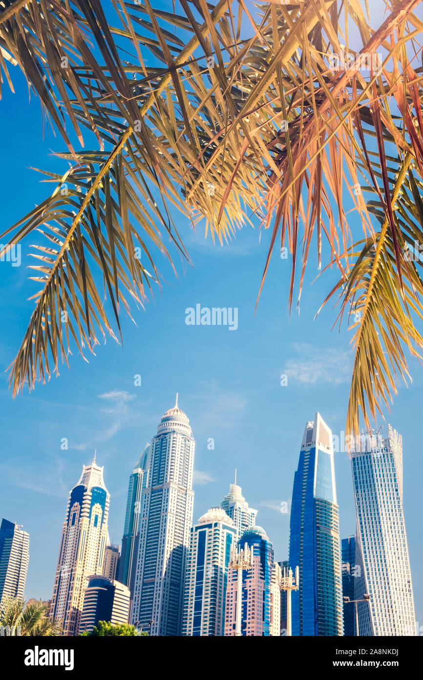 Panoramic vertical view of palm trees and skyscrapers, vacation concept ...