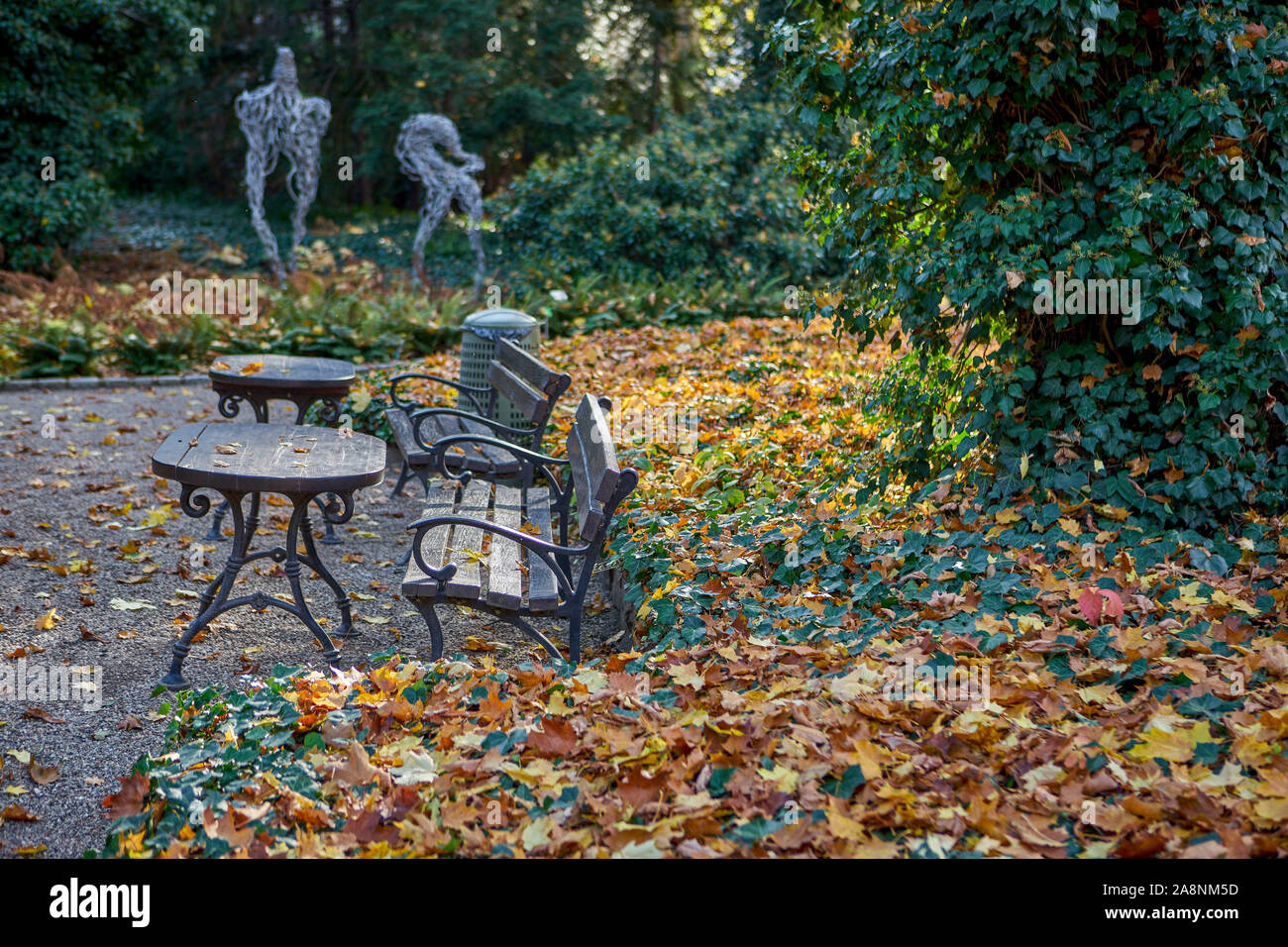 Botanical Gardens of Wroclaw in autumn Stock Photo - Alamy