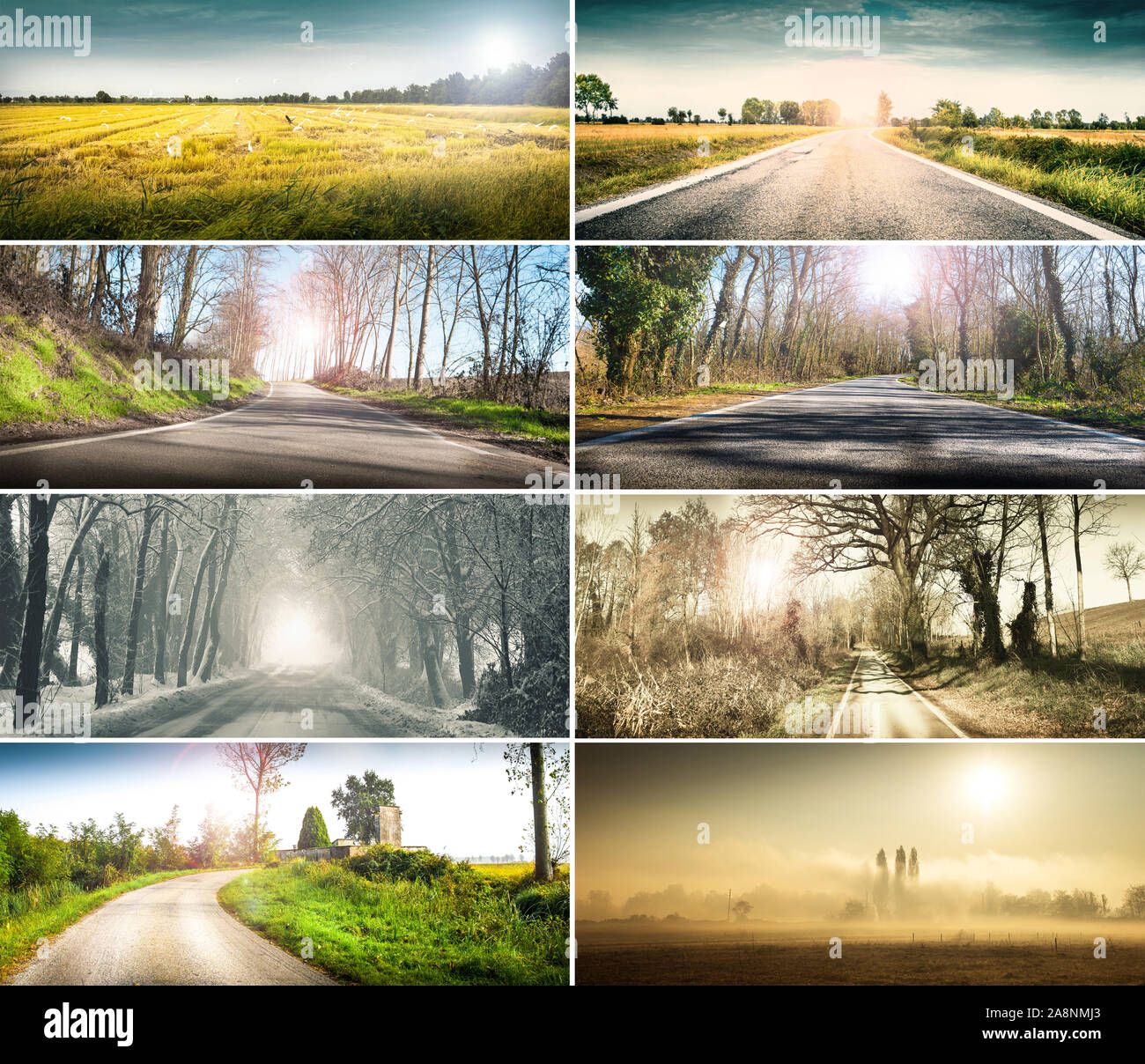 collage of country landscape in all season Stock Photo - Alamy