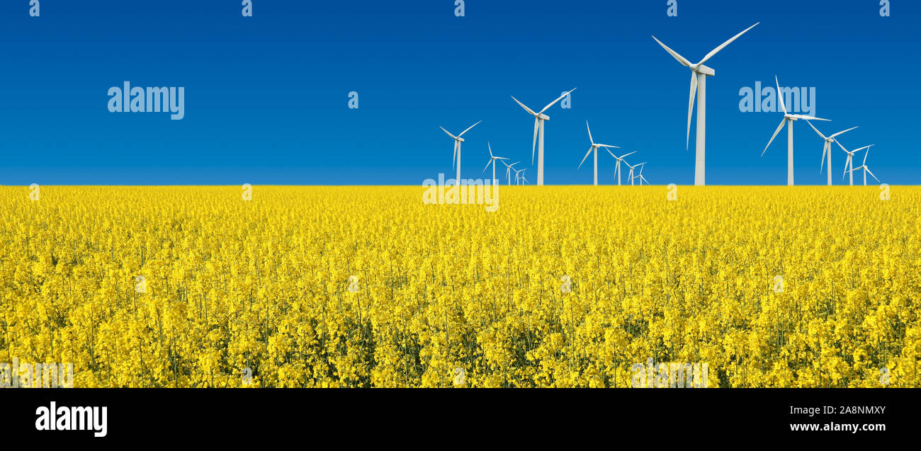 wind turbine in yellow field Stock Photo - Alamy