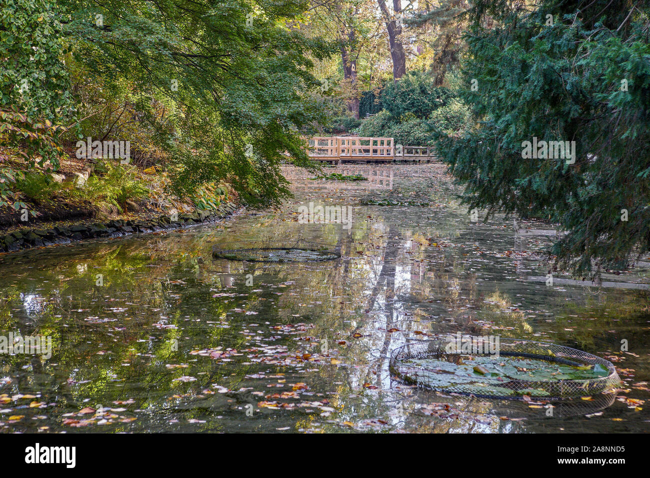 Botanical Gardens of Wroclaw in autumn Stock Photo - Alamy