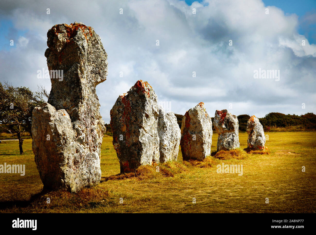 Megaliths prehistoric menhirs in French territory Stock Photo - Alamy