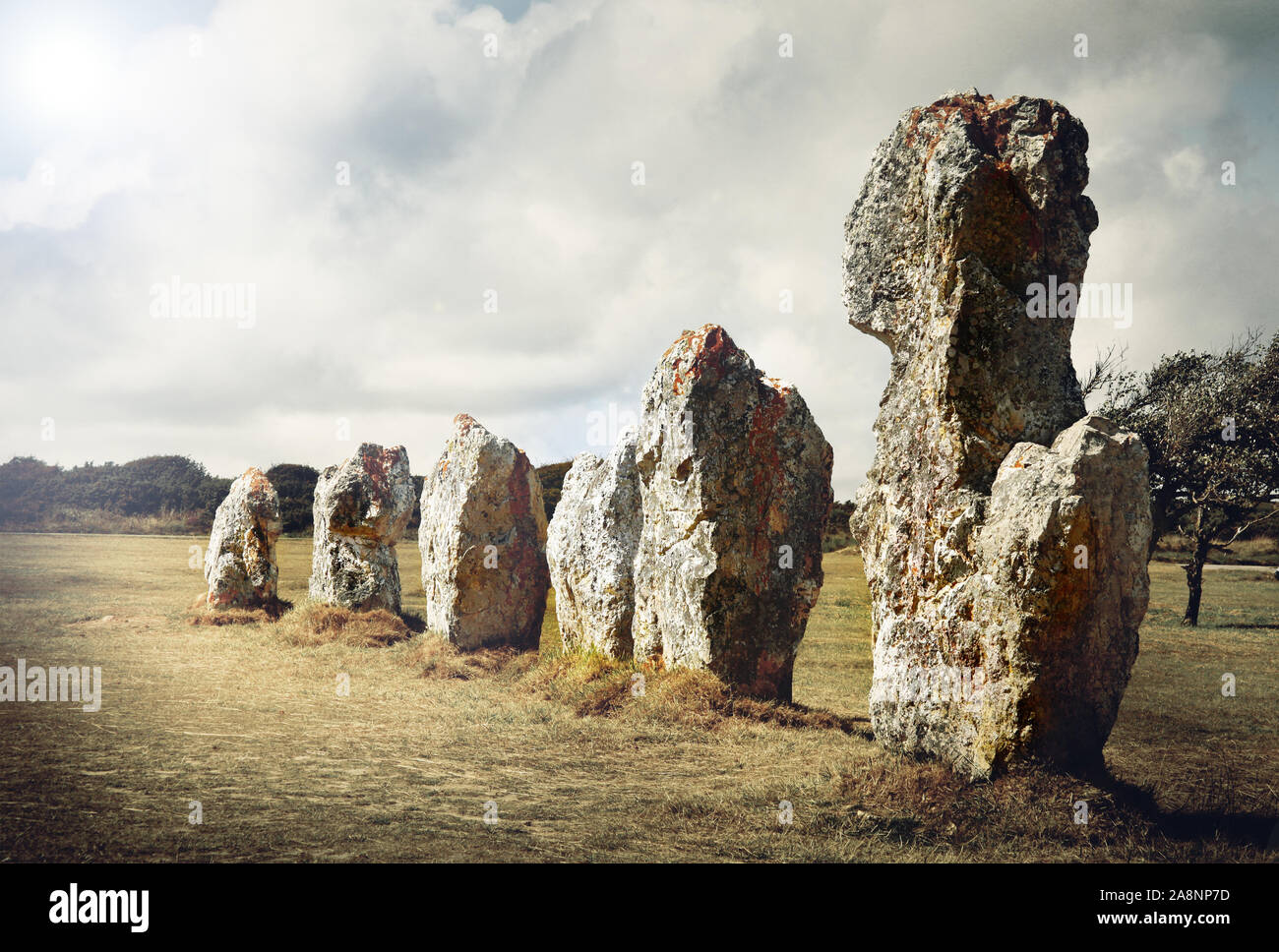 Megaliths prehistoric menhirs in French territory Stock Photo - Alamy