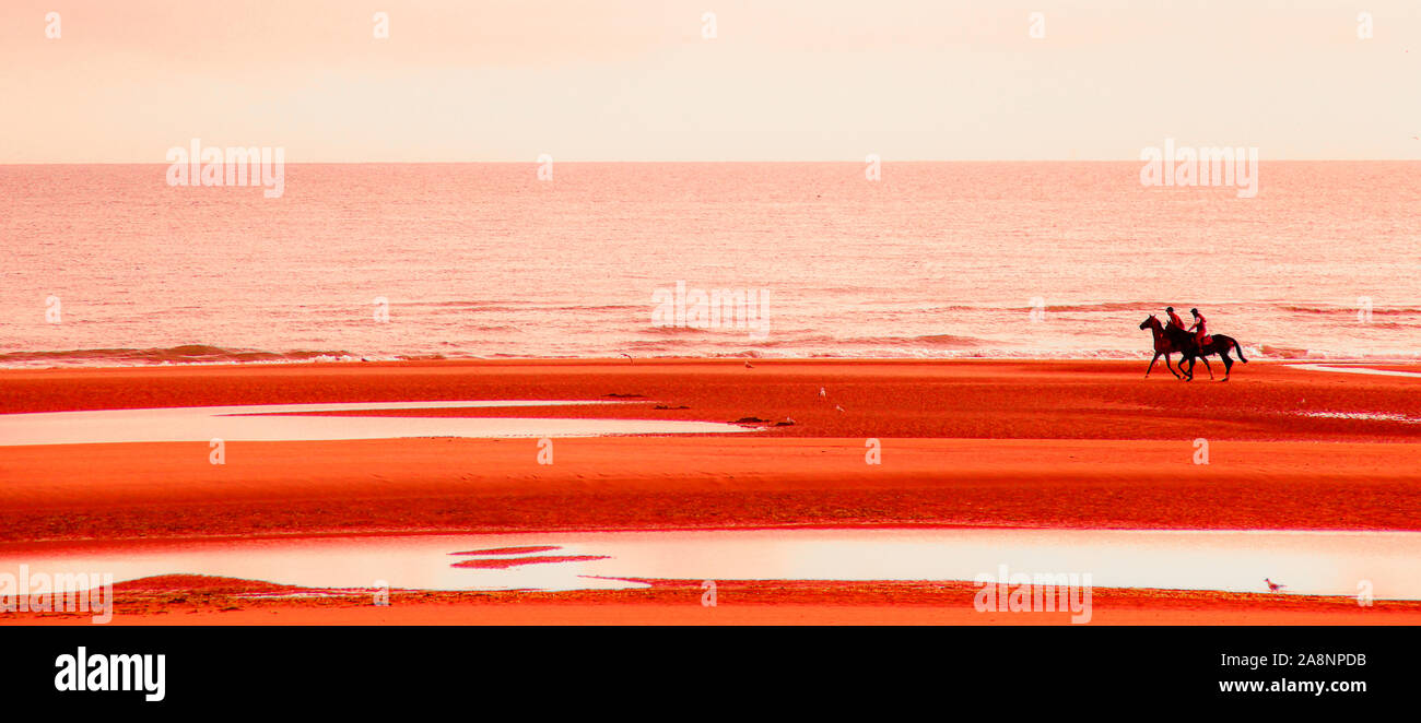 Horseback riding on the beach at sunset Stock Photo - Alamy