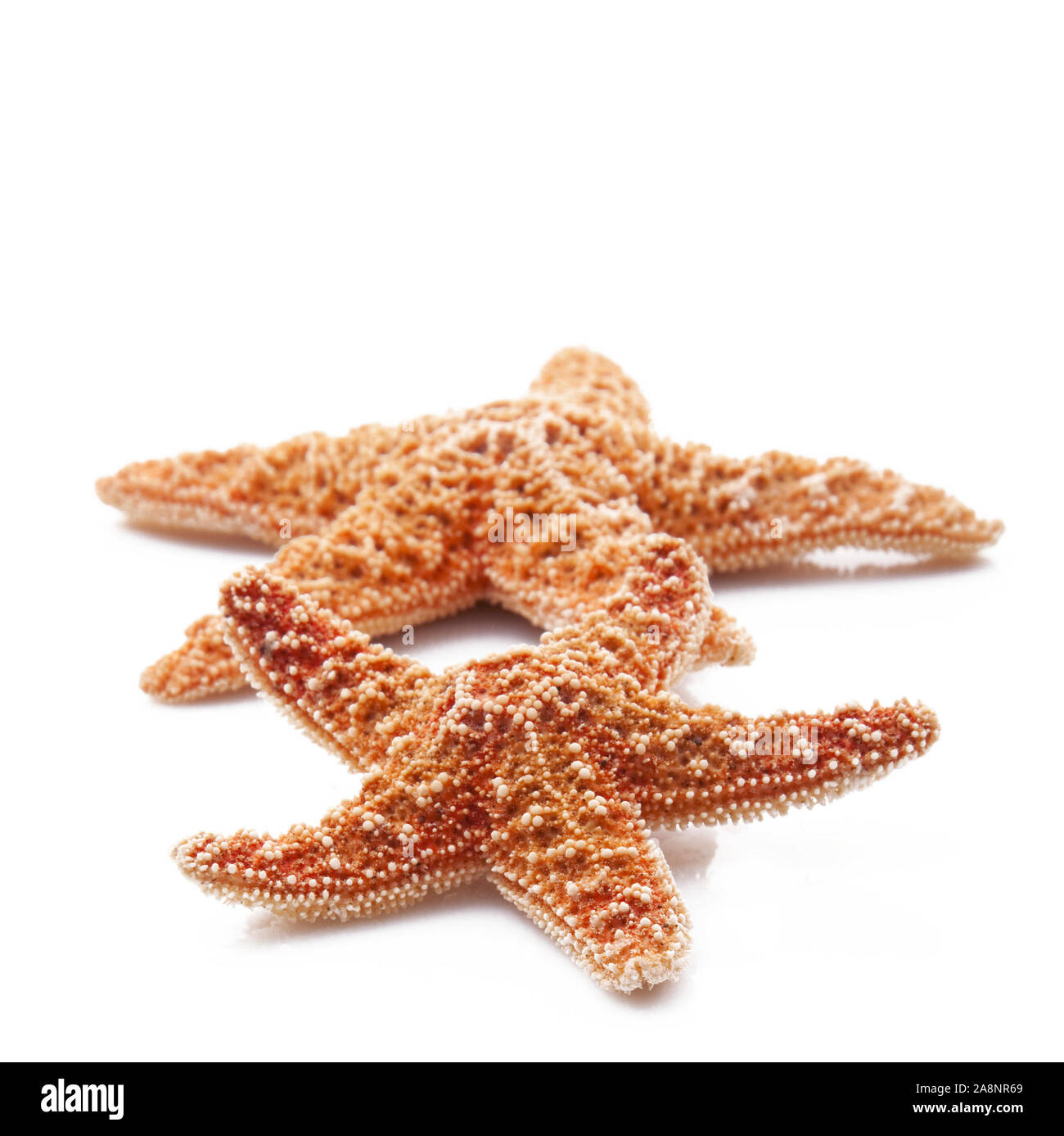 Fondo conceptual Cut Out Stock Images & Pictures - Alamy