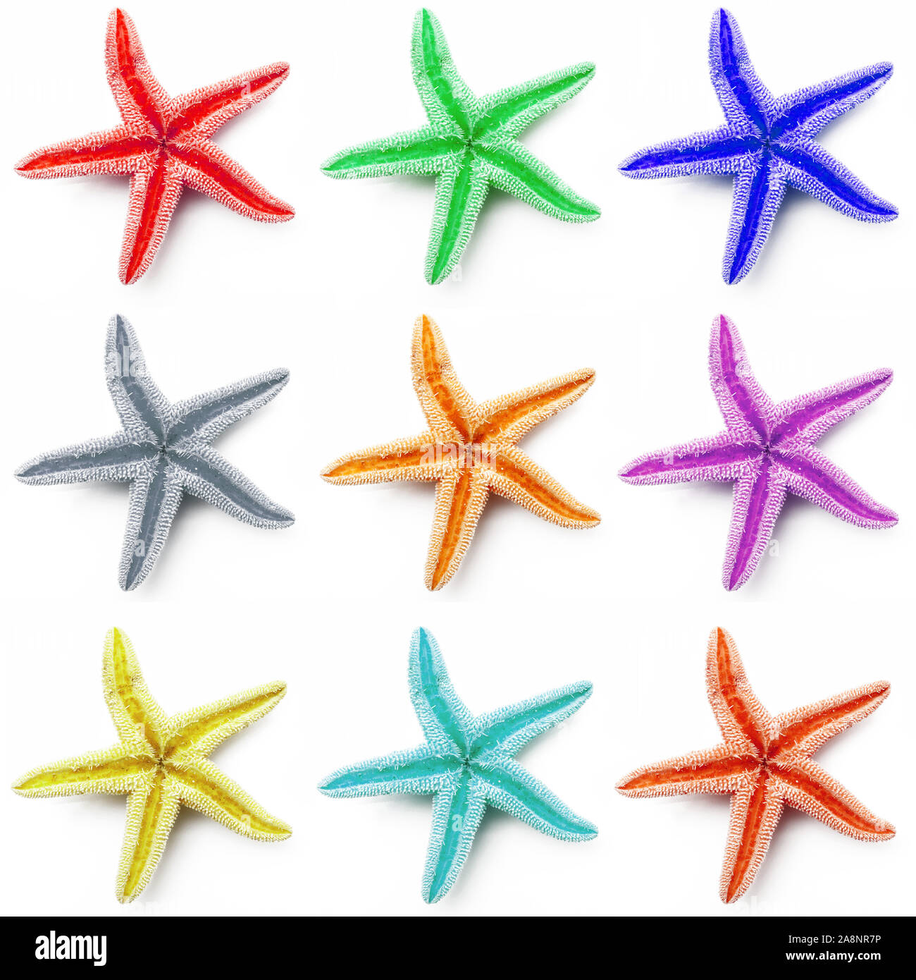 starfish collage on white background Stock Photo - Alamy