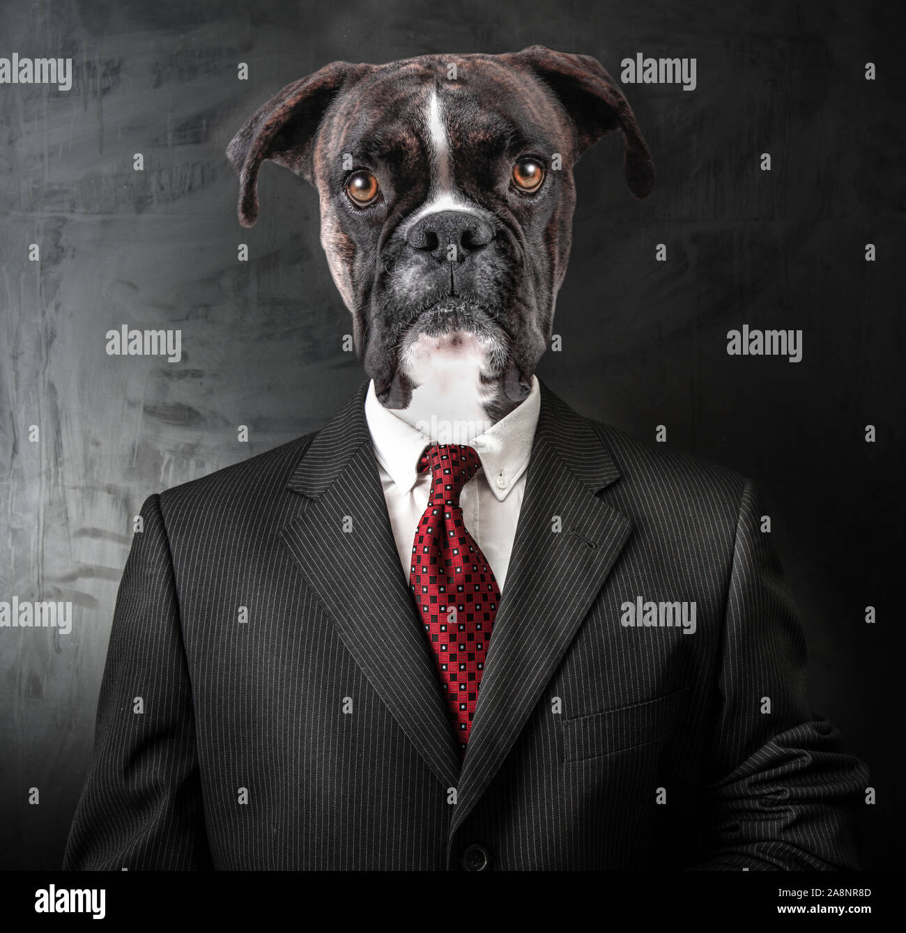 Dogwork hi-res stock photography and images - Alamy