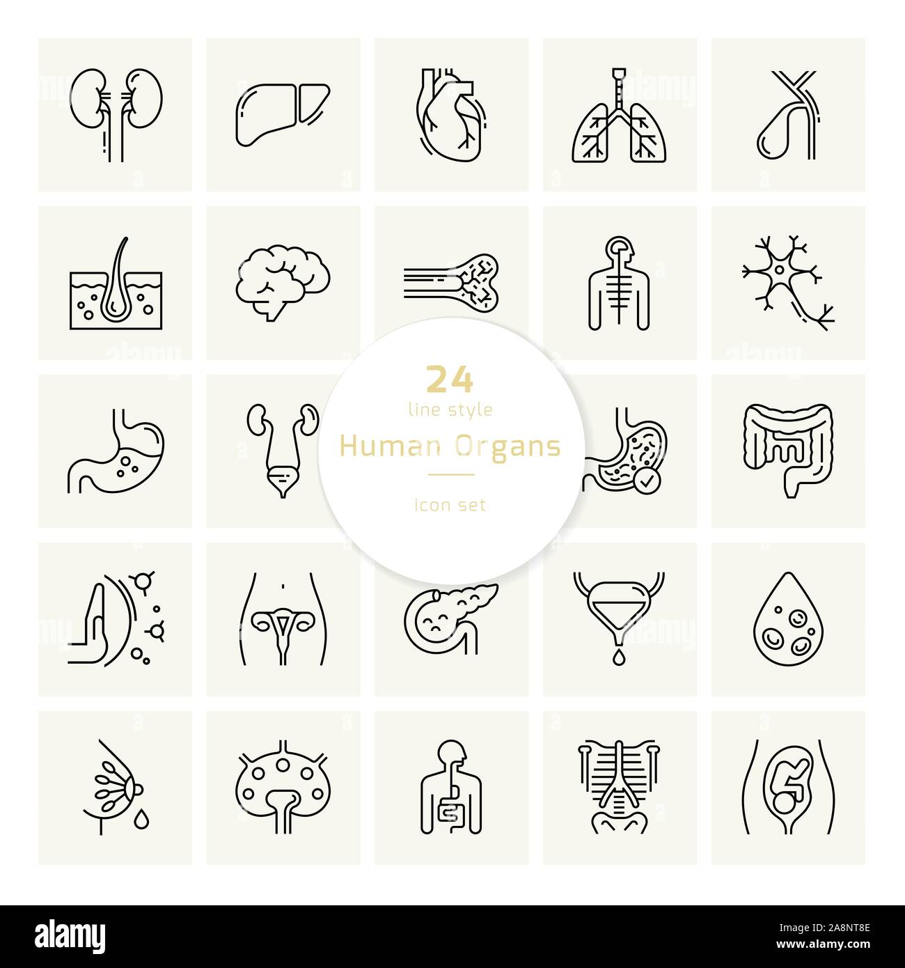 Set Of Vector Icons Of Internal Human Organs In A Linear Style Isolated