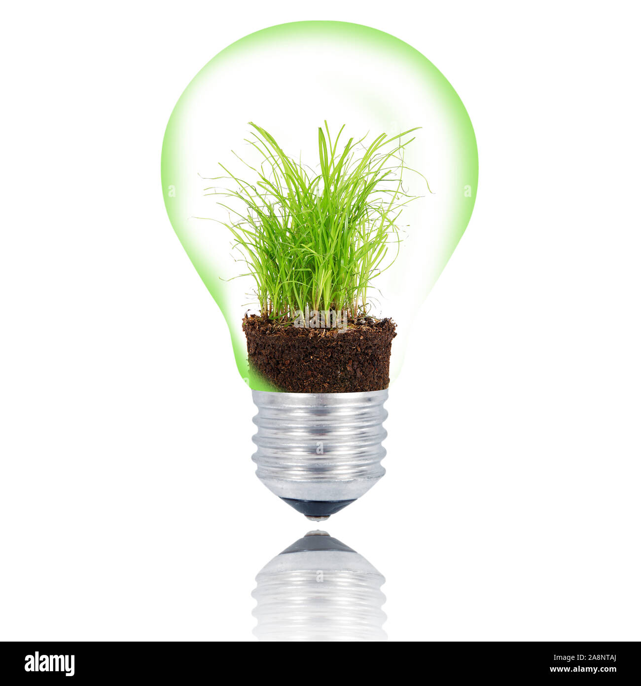 grass light bulb on white background Stock Photo - Alamy