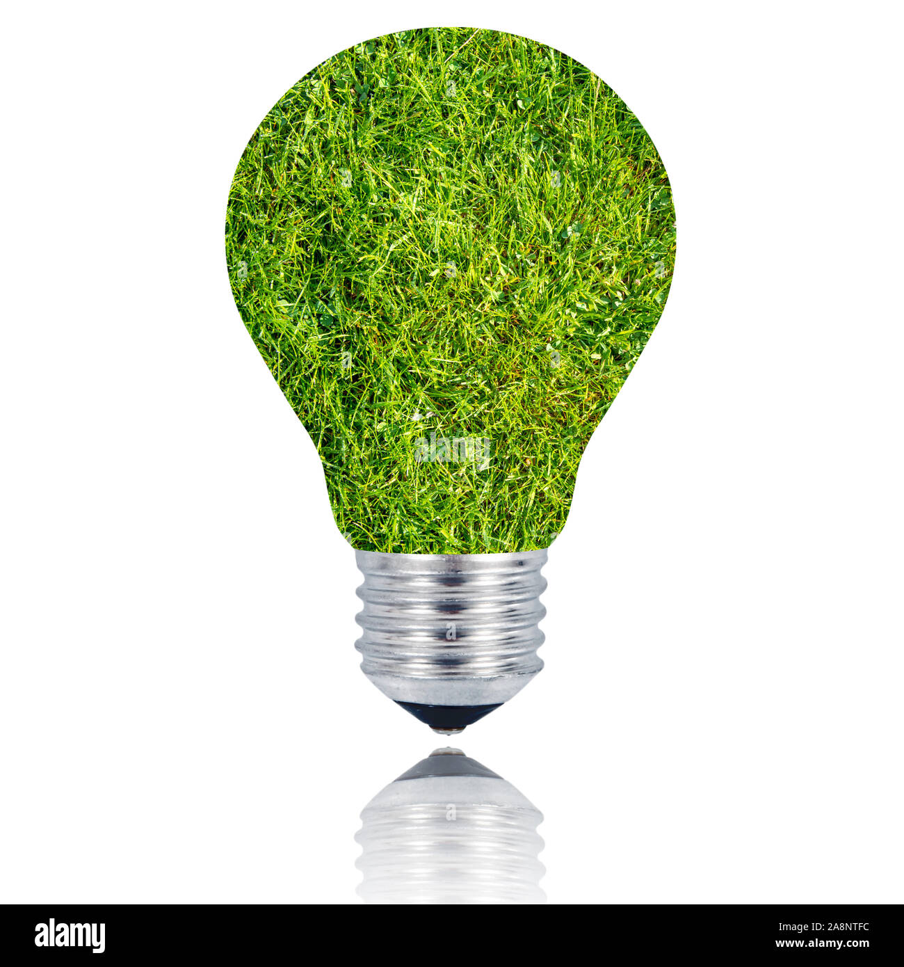 grass light bulb on white background Stock Photo - Alamy