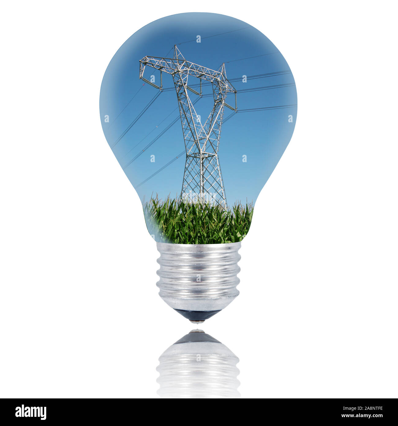 high voltage light bulb on white background Stock Photo - Alamy