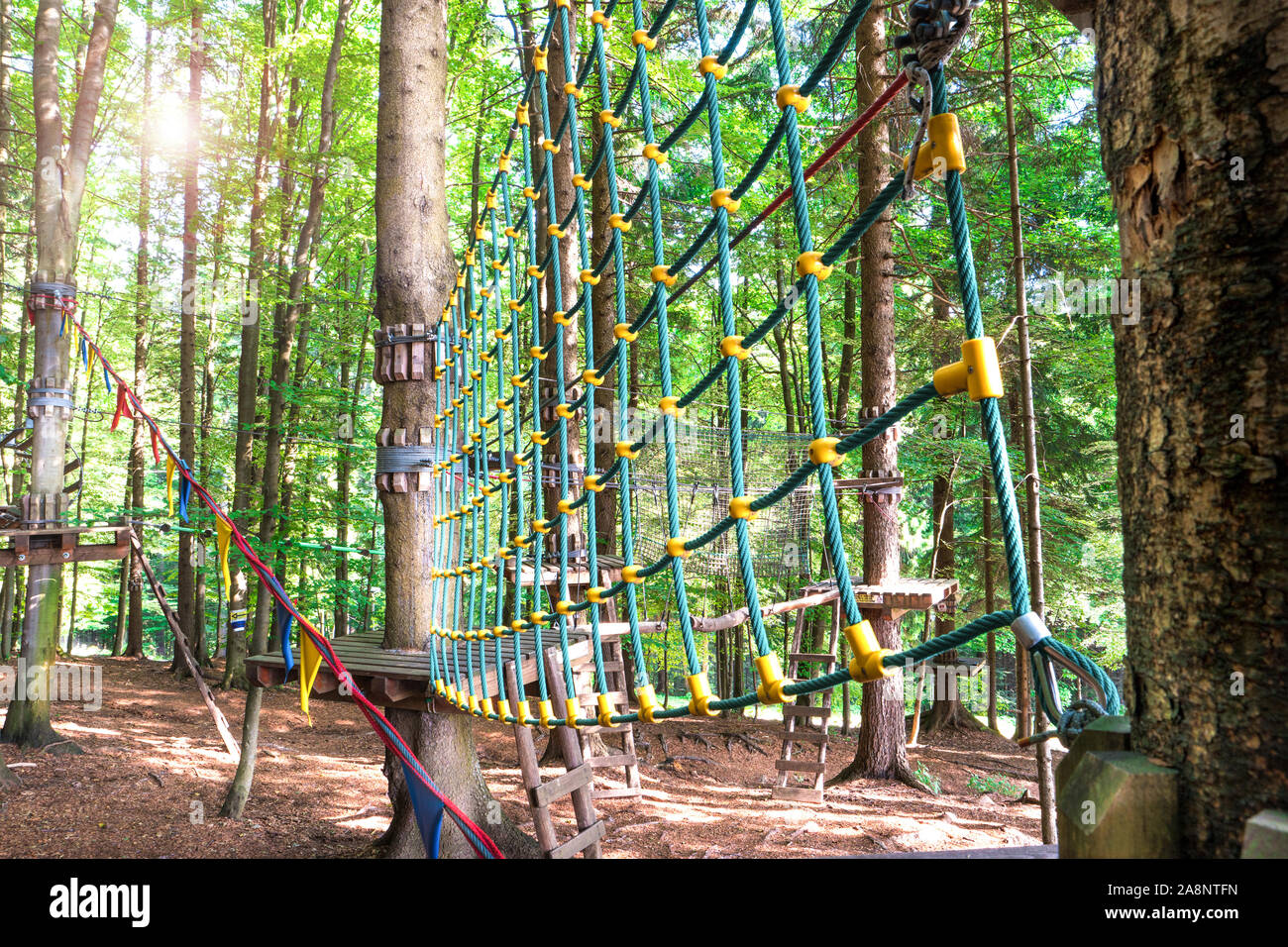 Wood buildings in the forest for climbing on trees Stock Photo - Alamy