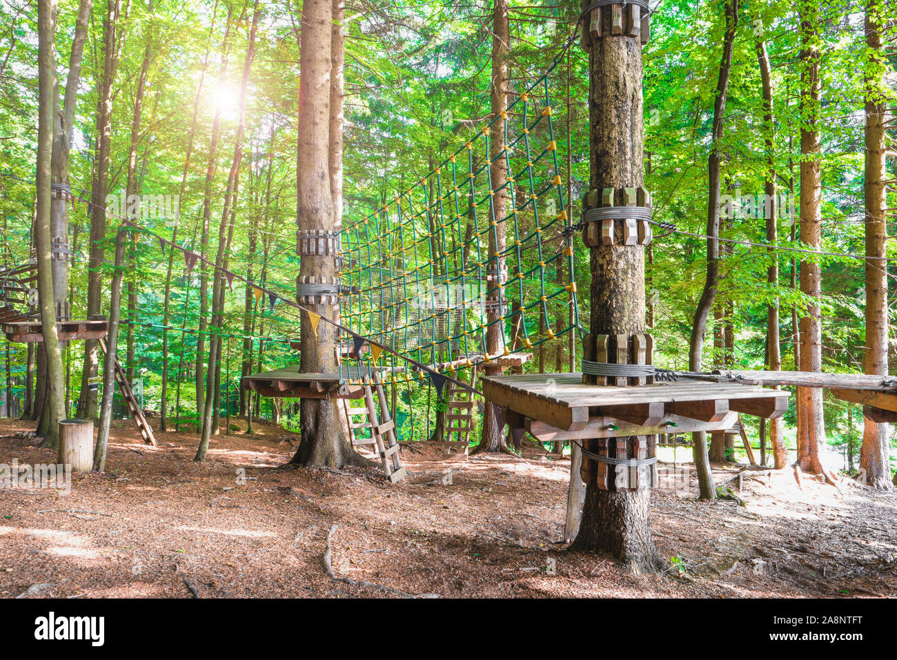 Wood buildings in the forest for climbing on trees Stock Photo - Alamy