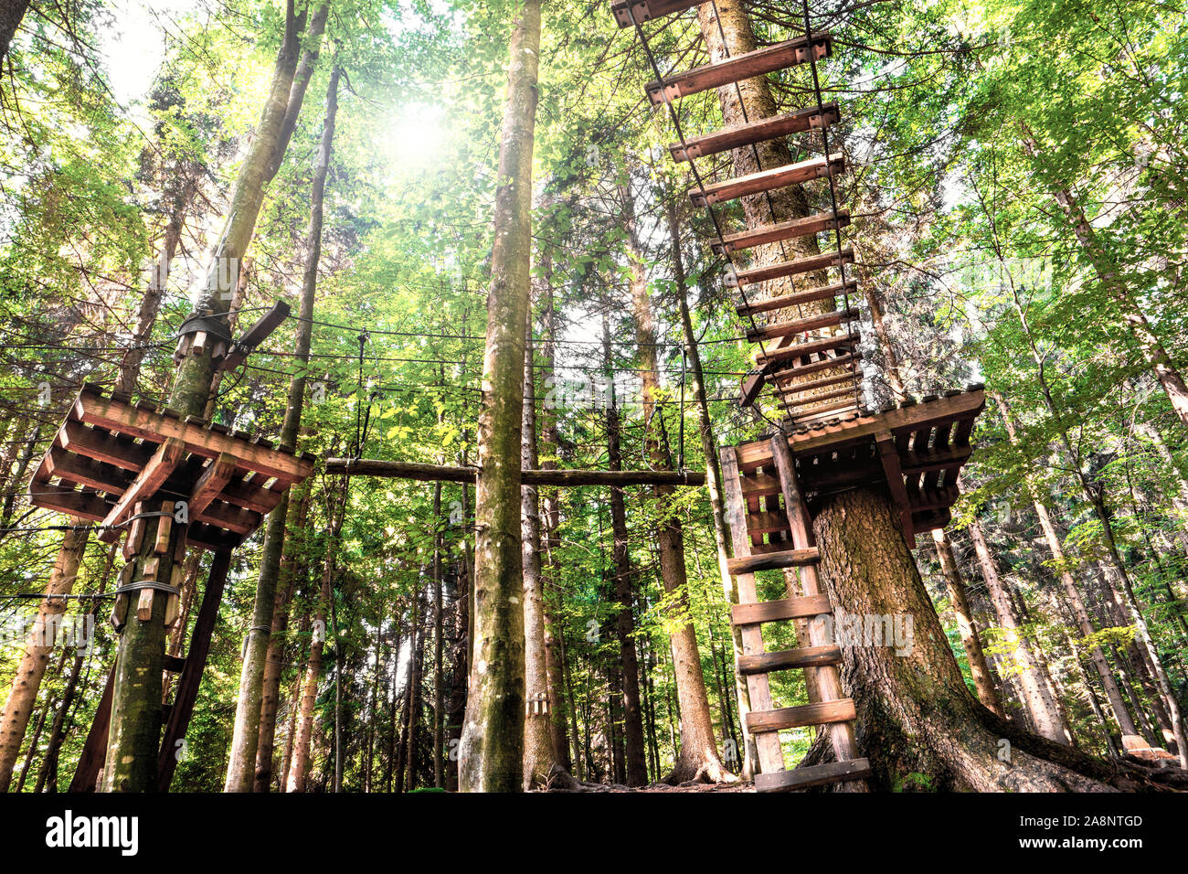 Wood buildings in the forest for climbing on trees Stock Photo - Alamy