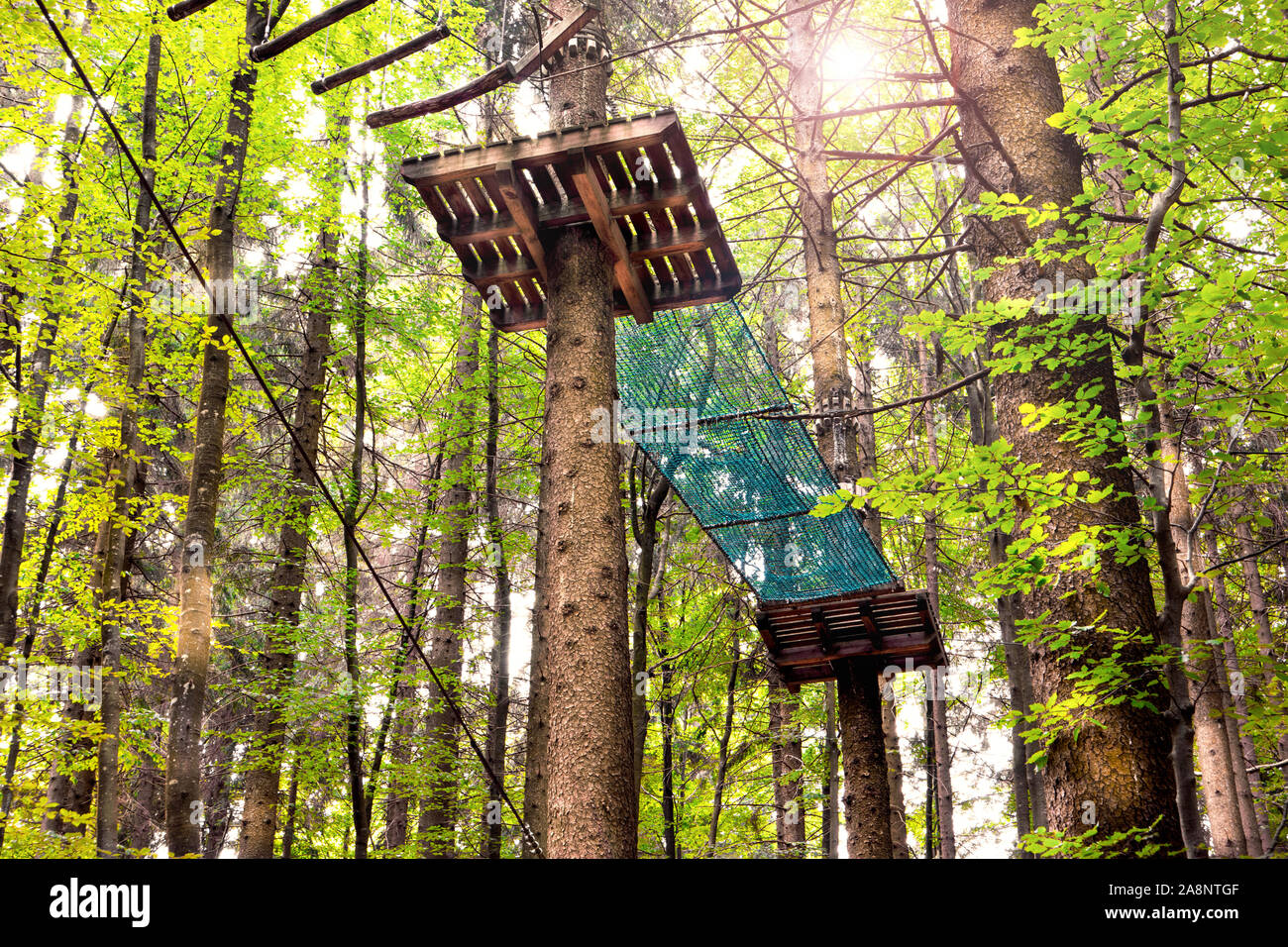 Wood buildings in the forest for climbing on trees Stock Photo - Alamy