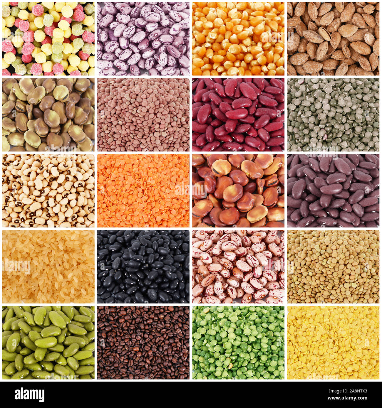 legumes collage on white board background Stock Photo - Alamy