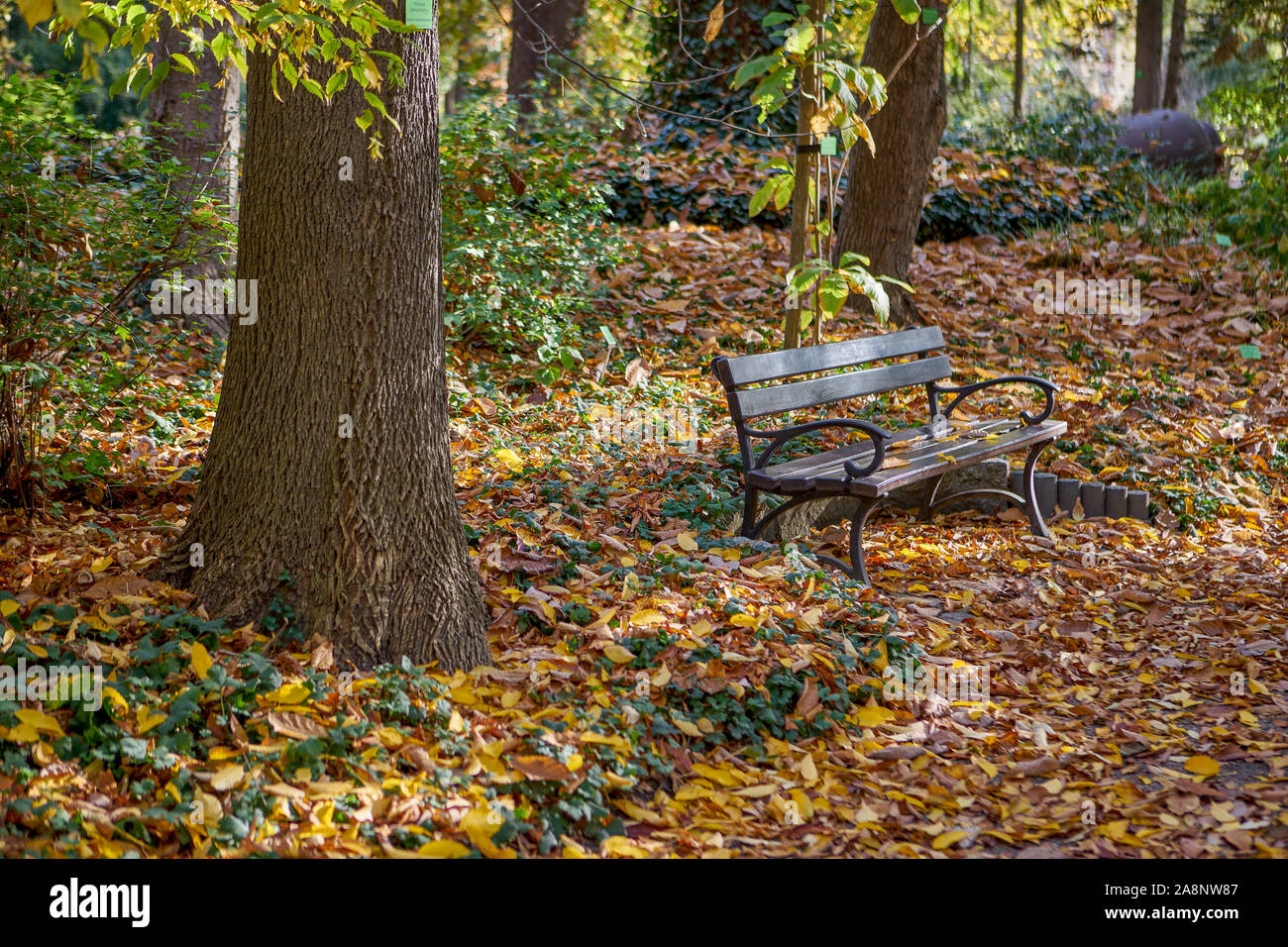 Botanical Gardens of Wroclaw in autumn Stock Photo - Alamy