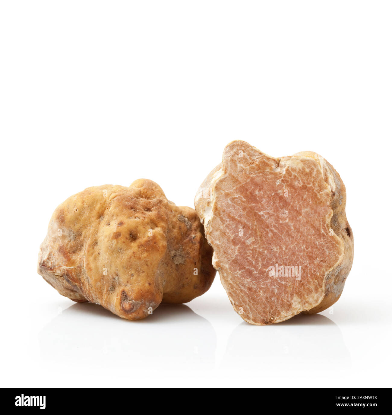 original italian white truffle on white background Stock Photo - Alamy
