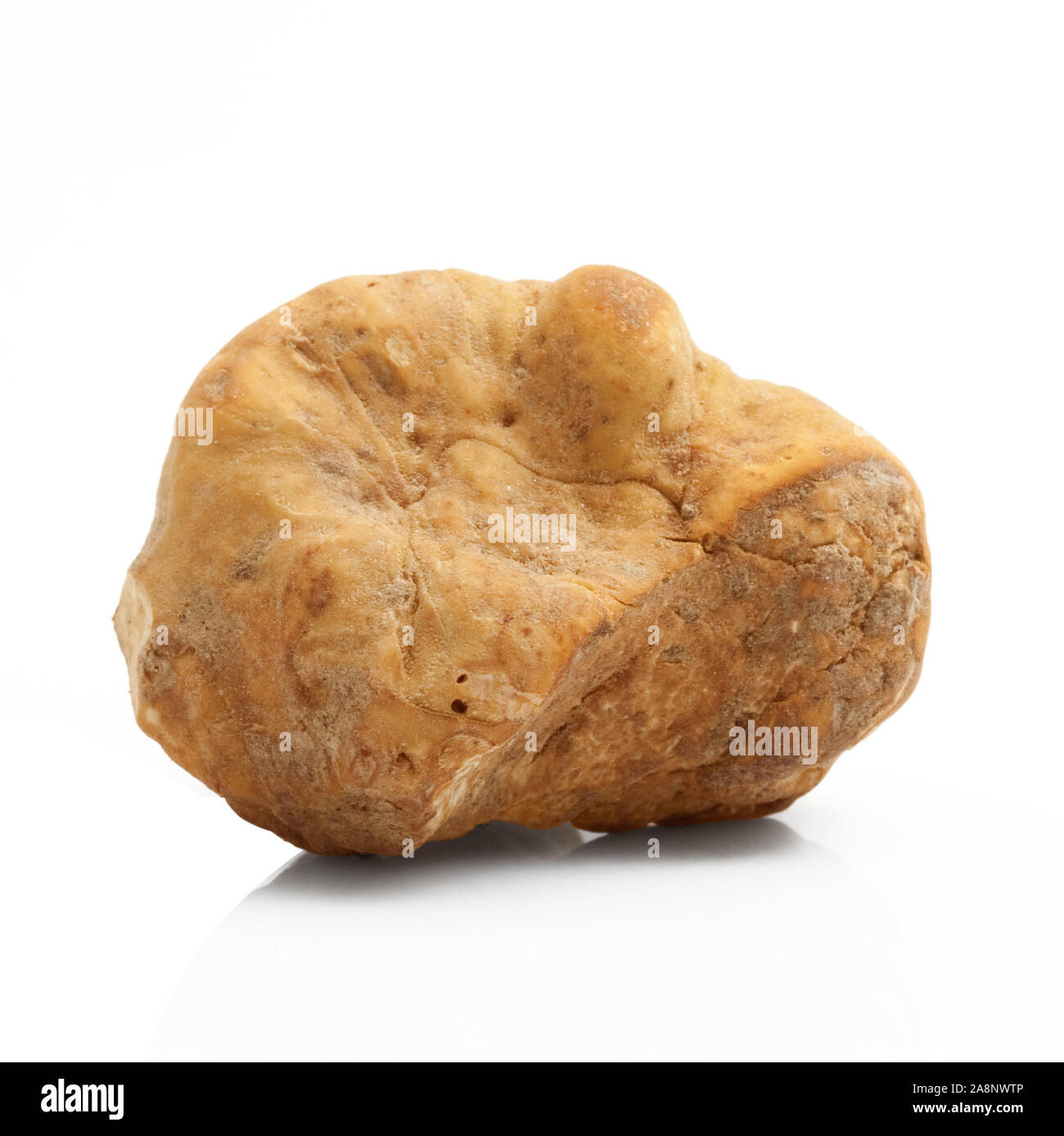 original italian white truffle on white background Stock Photo - Alamy