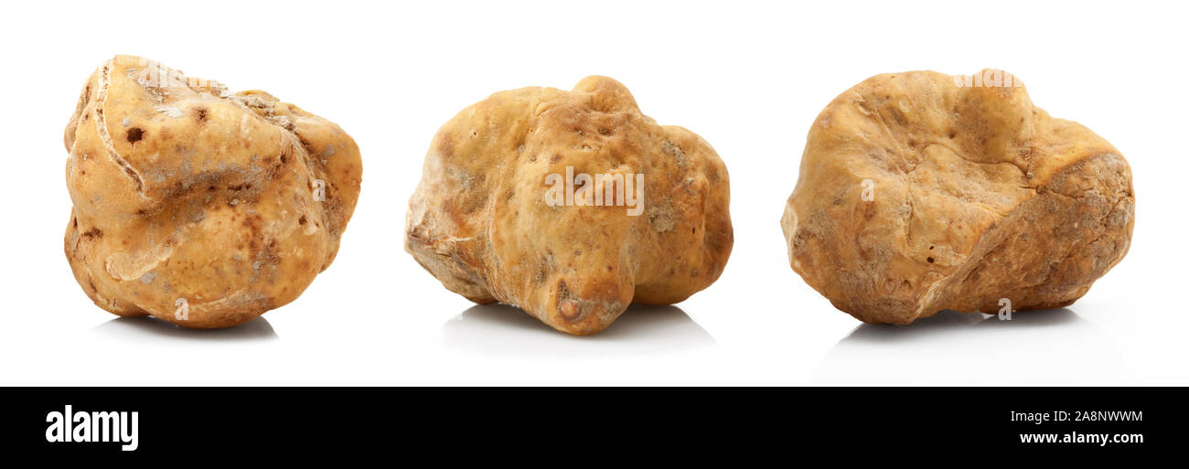original italian white truffles on white background Stock Photo - Alamy