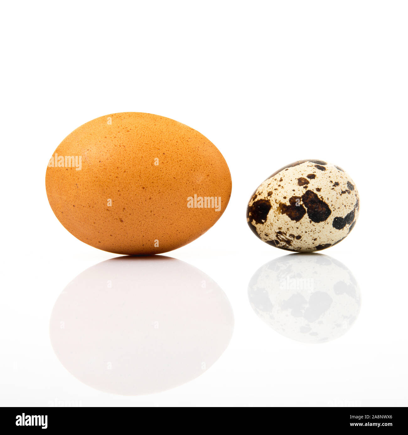 isolated eggs on white background Stock Photo - Alamy