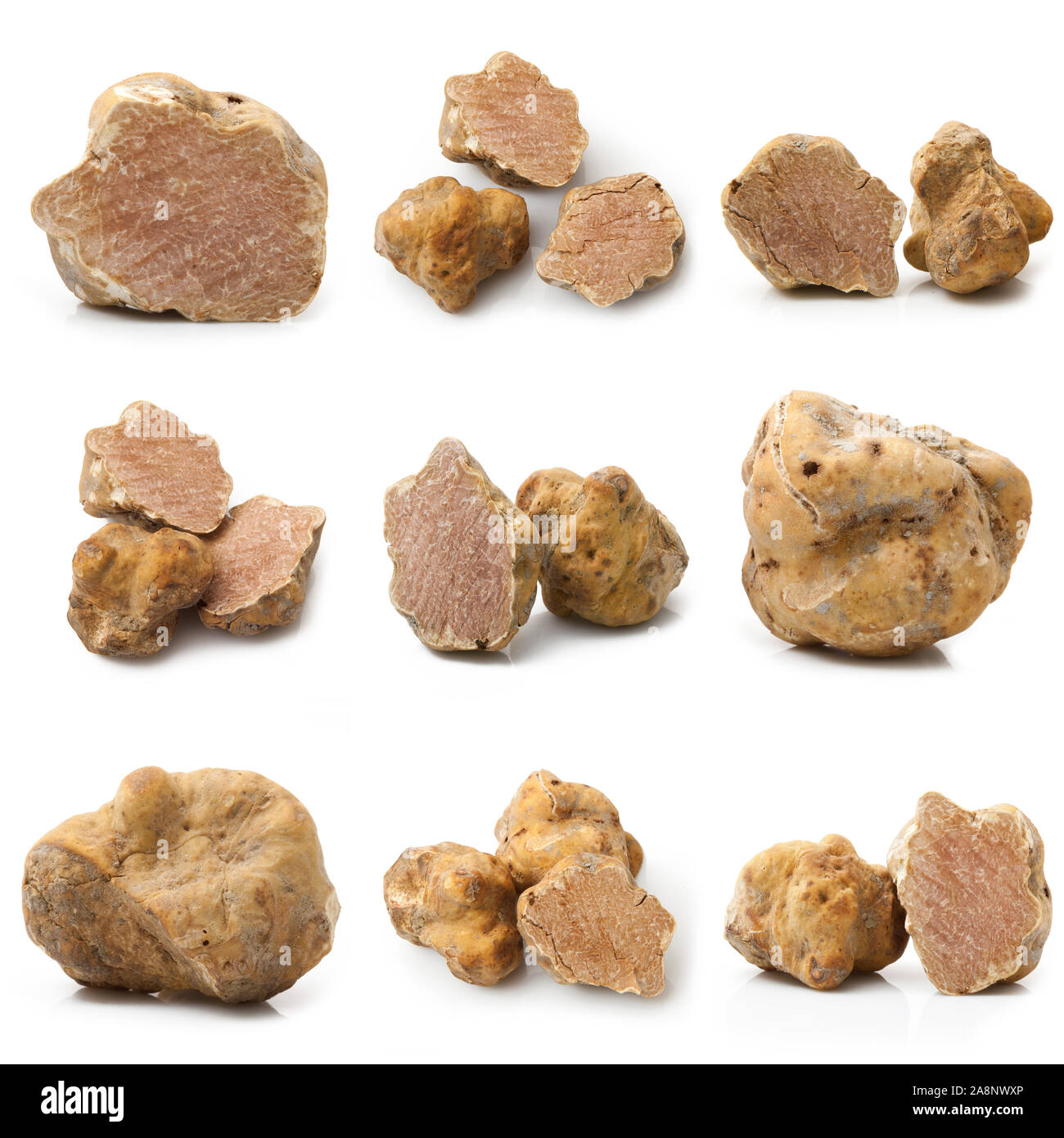 original italian white truffles collage on white background Stock Photo ...