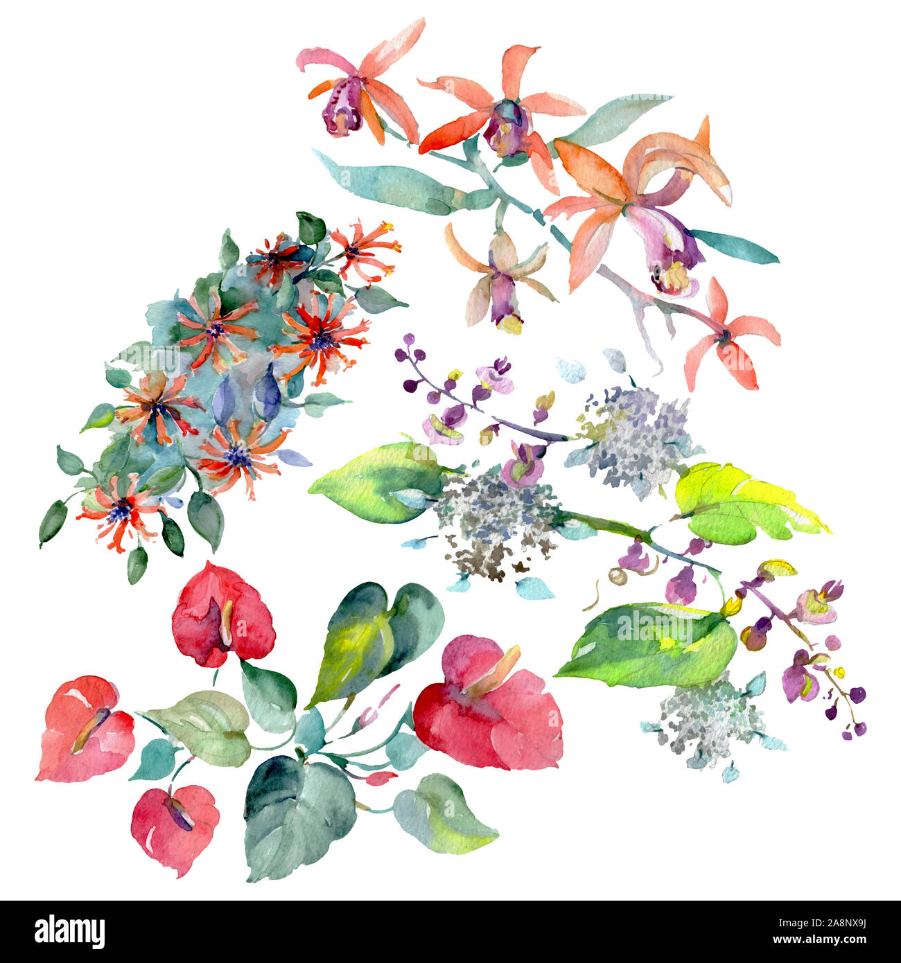 Bouquet floral botanical flowers. Watercolor background illustration ...