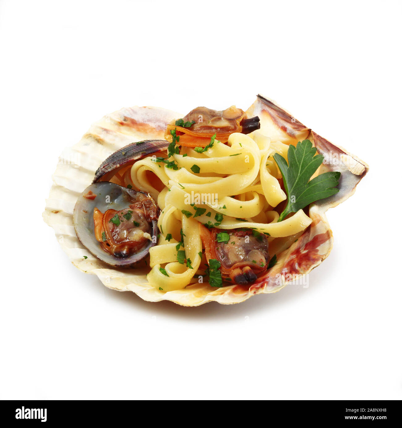 Italian shell pasta tomato Cut Out Stock Images & Pictures - Alamy