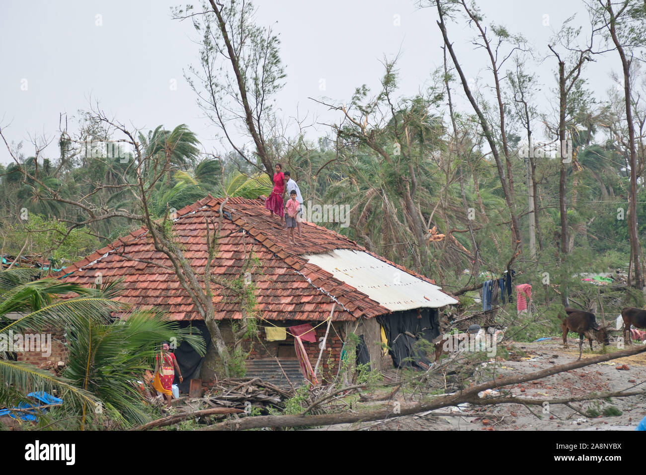 Bakkhali, west bengali, india. 10th Nov, 2019. Situation after making ...