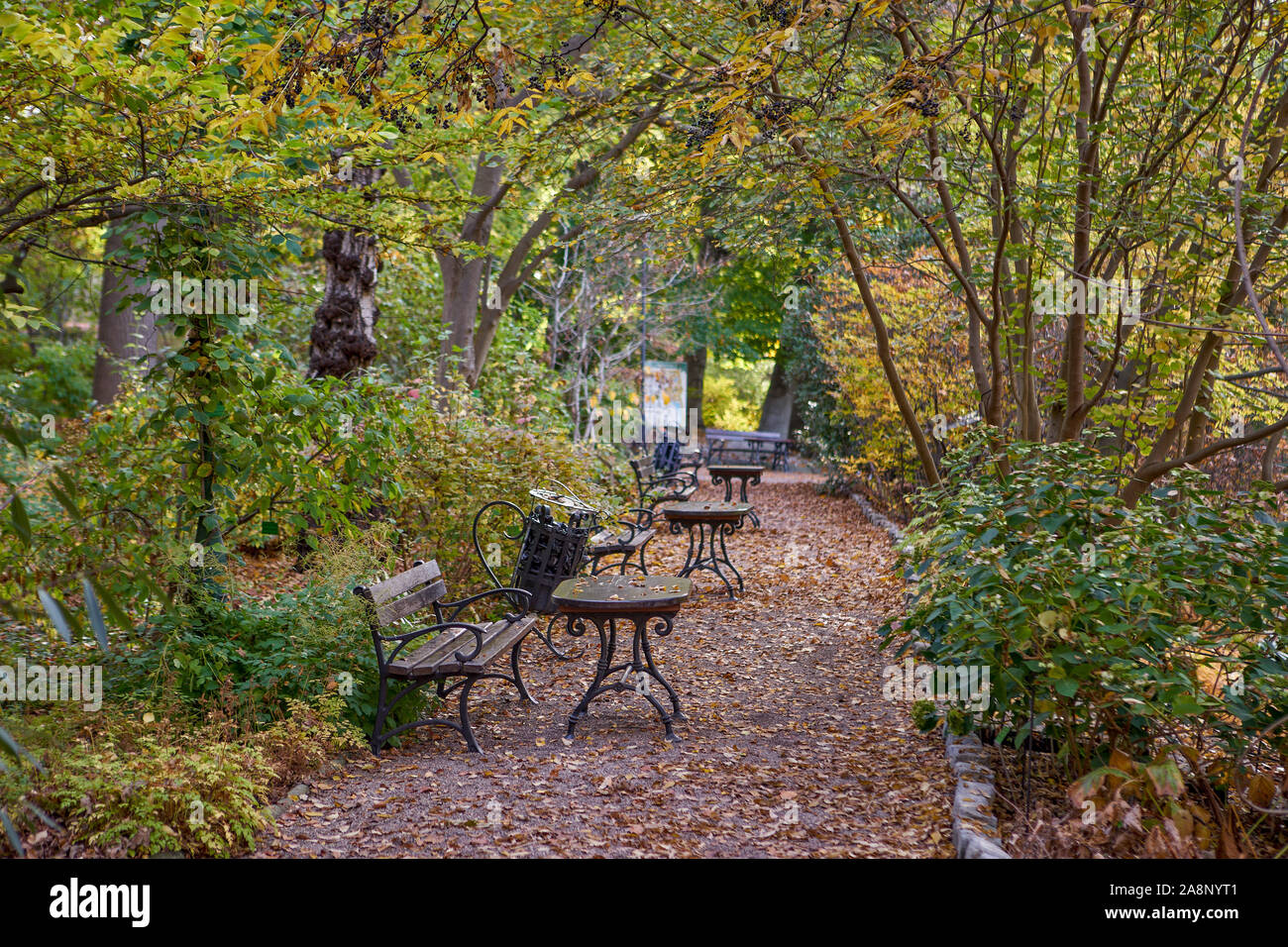 Botanical Gardens of Wroclaw in autumn Stock Photo - Alamy