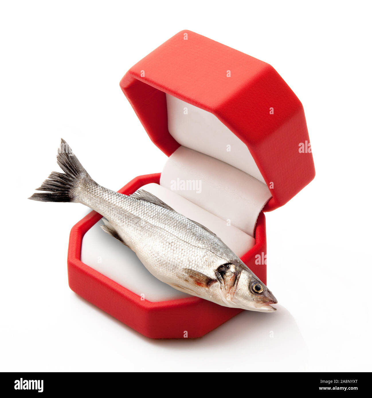 Jevel High Resolution Stock Photography and Images - Alamy