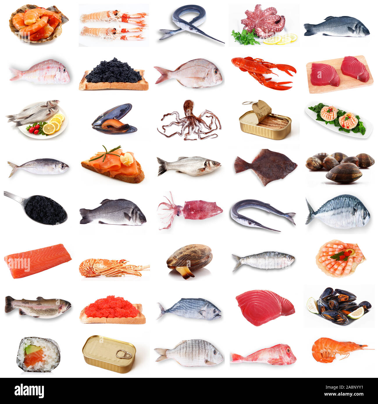 fresh fish collage on white background Stock Photo - Alamy