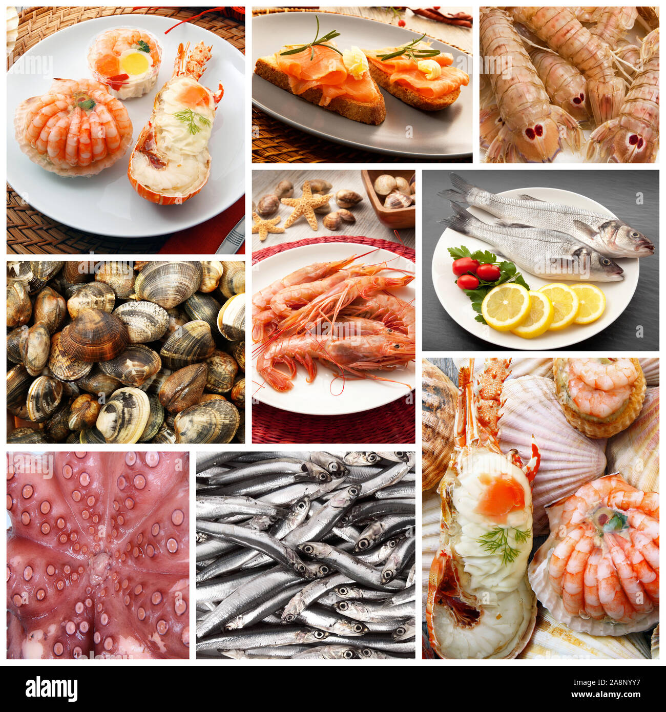 fresh fish collage on white background Stock Photo - Alamy