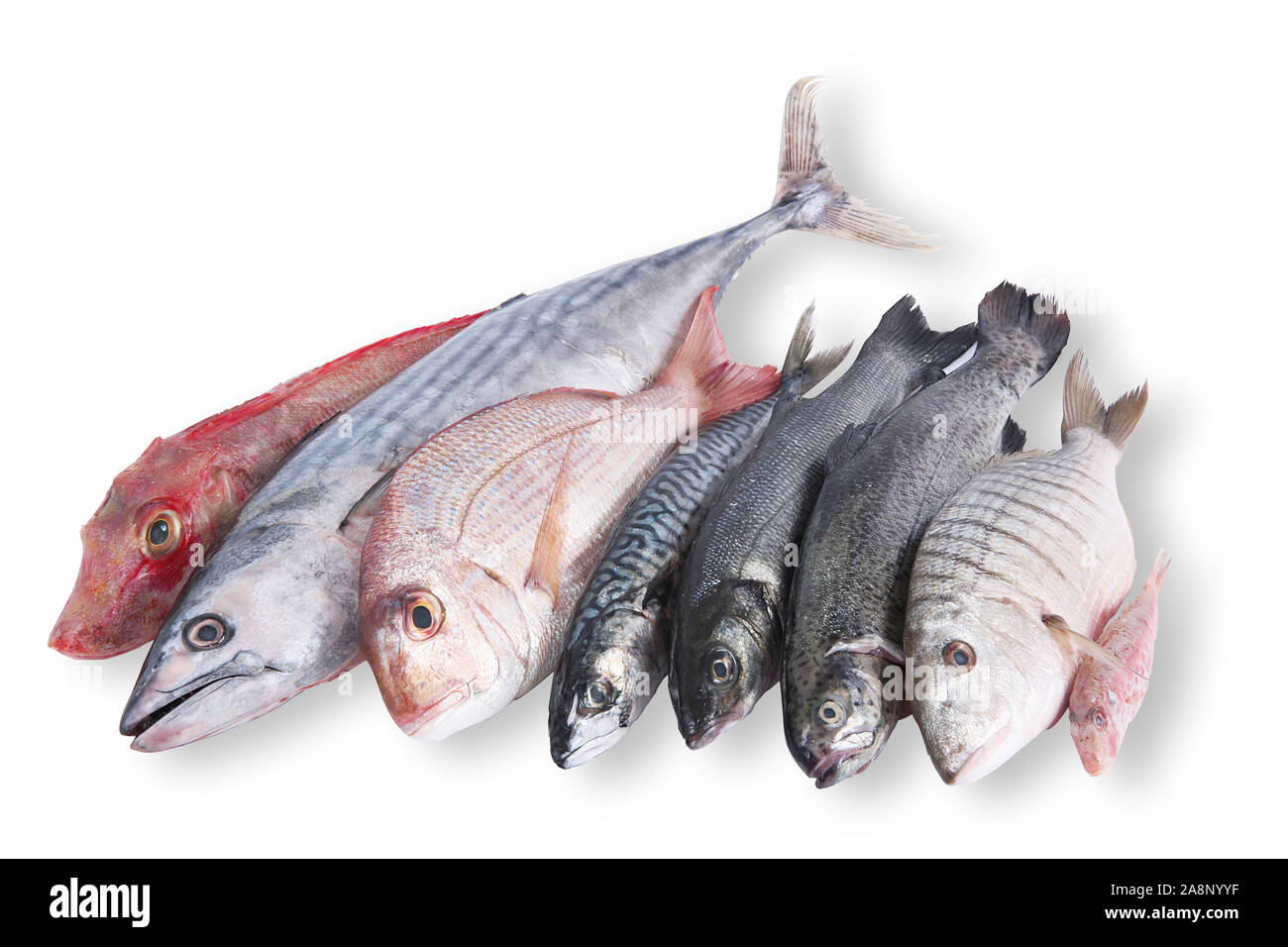 fresh fish collage on white background Stock Photo - Alamy